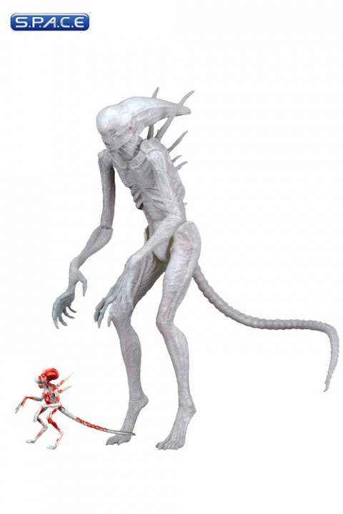 Neomorph (Alien: Covenant)