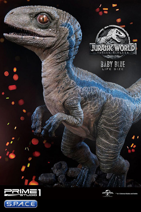 1/1 Scale Baby Blue Legacy Museum Collection Statue (Jurassic World ...