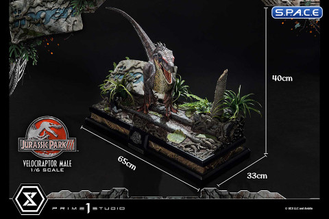 1/6 Scale Male Velociraptor Legacy Museum Collection Statue (Jurassic ...