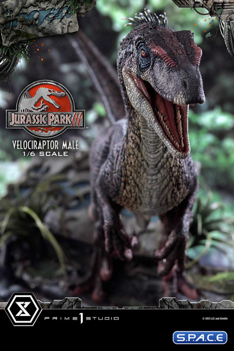 1/6 Scale Male Velociraptor Legacy Museum Collection Statue (Jurassic ...