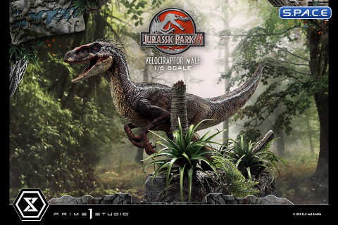 1/6 Scale Male Velociraptor Legacy Museum Collection Statue (Jurassic ...