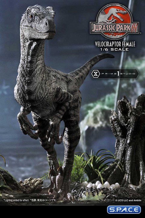 1/6 Scale Female Velociraptor Legacy Museum Collection Statue - Bonus ...