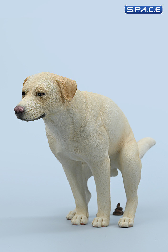 1/6 Scale pooping Labrador Version C
