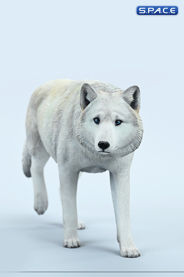 1/6 Scale Gray Wolf Version A3